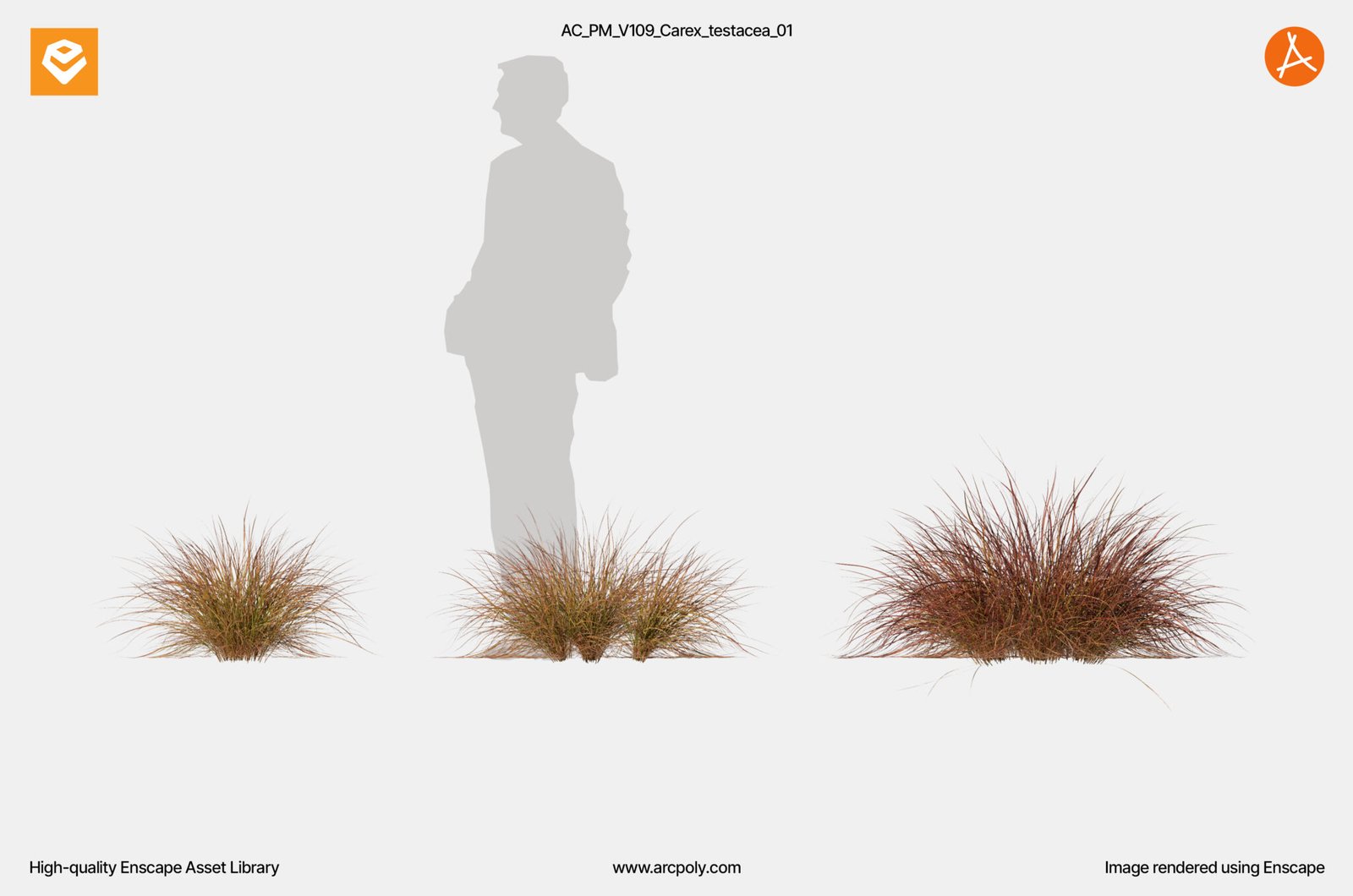 Arcpoly – Free & High-quality Enscape asset library including furniture ...