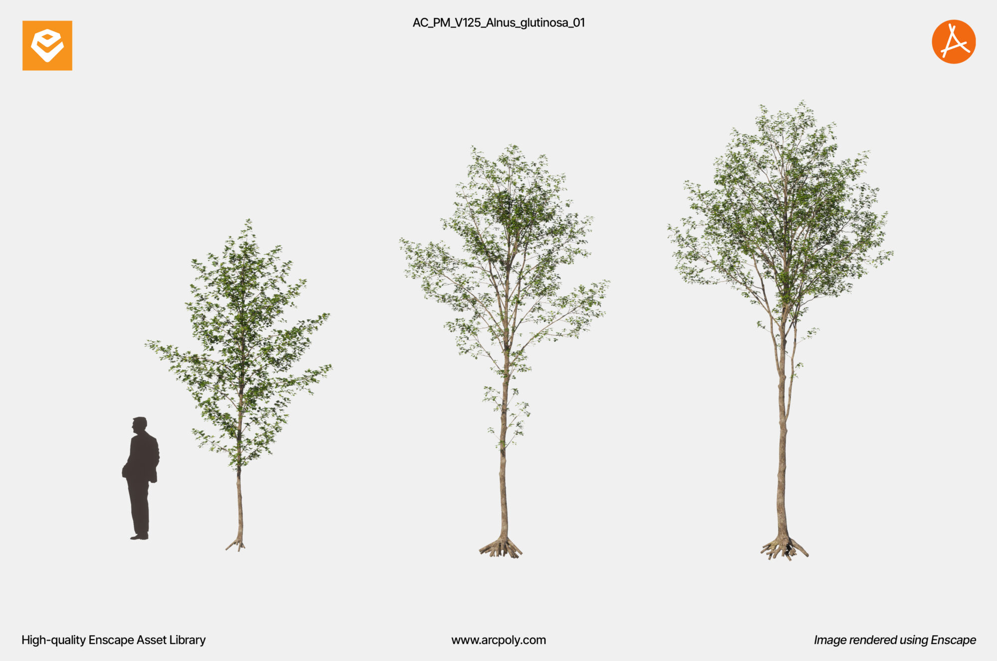 Enscape Asset Trees – Arcpoly