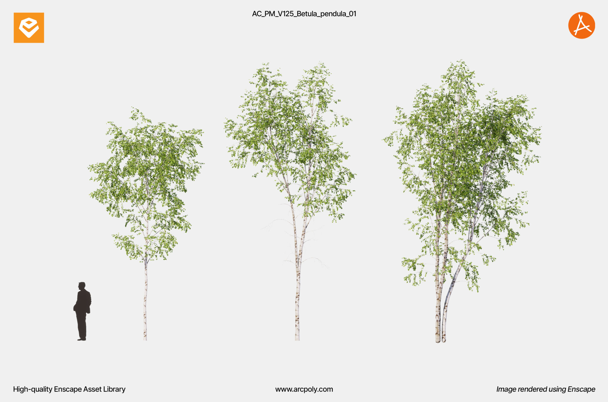 Arcpoly – Free & High-quality Enscape asset library including furniture ...