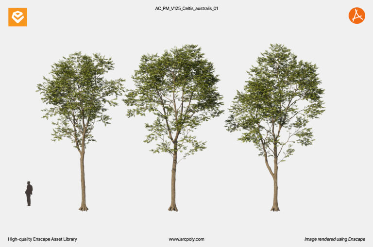 Enscape Asset Trees – Arcpoly