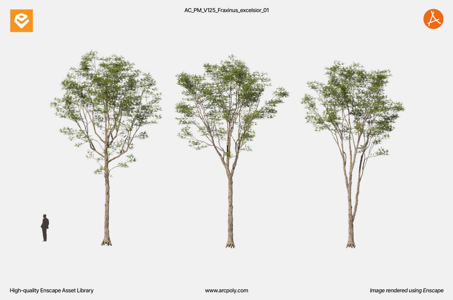 Enscape Asset Trees – Arcpoly