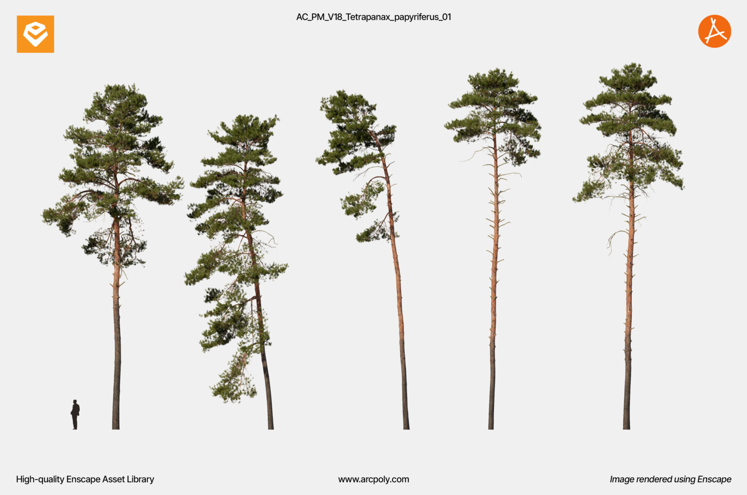 Enscape Asset Trees – Arcpoly